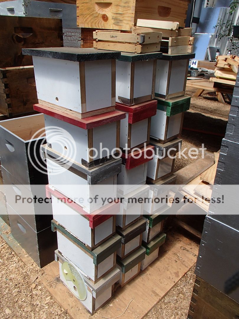 Mini Mating Nuc | Beesource Beekeeping Forums